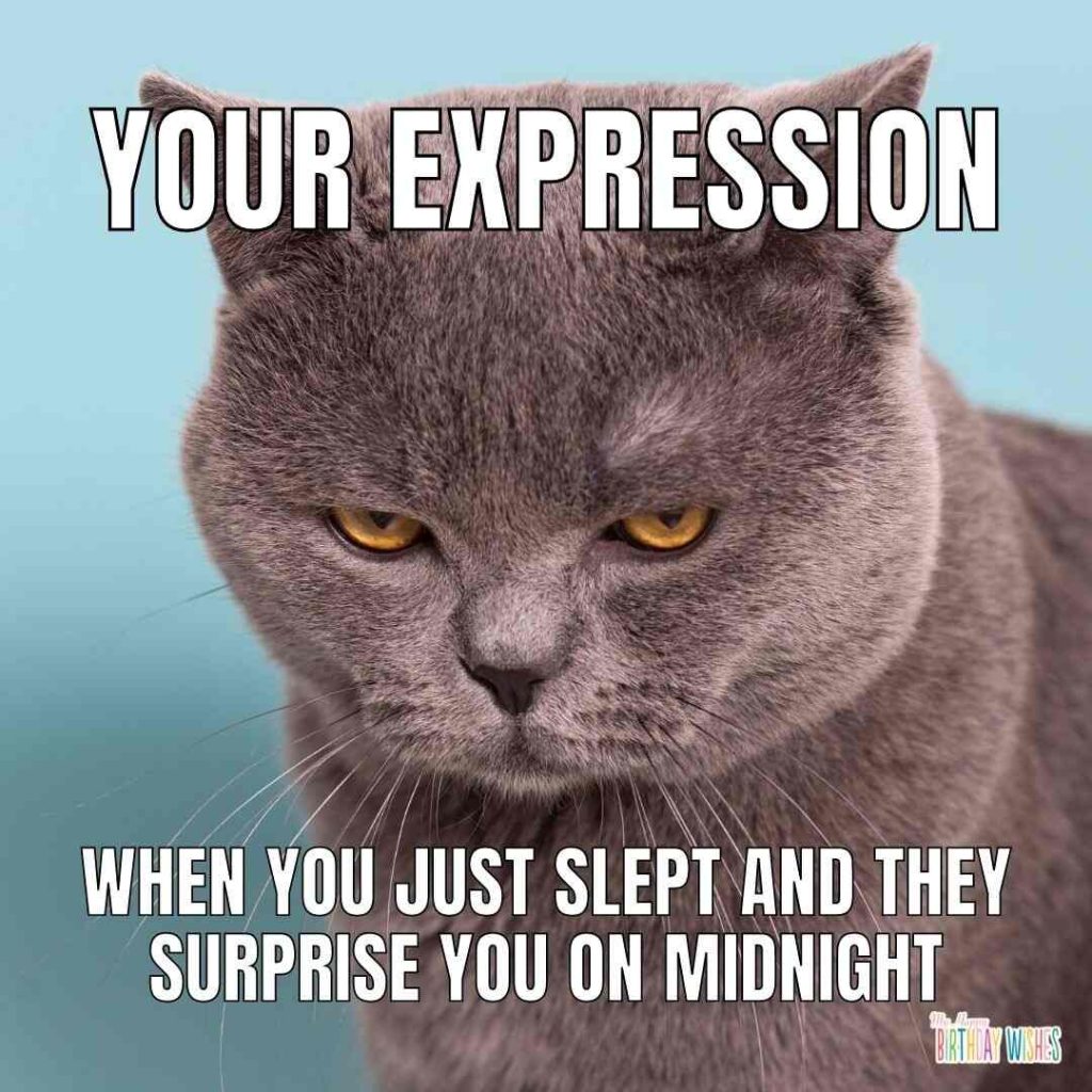 Happy Birthday Memes to Share on Instagram (With Pictures)